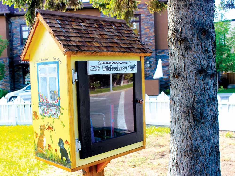 The Completist: Little Free Libraries in Hillhurst keep the thrill ...