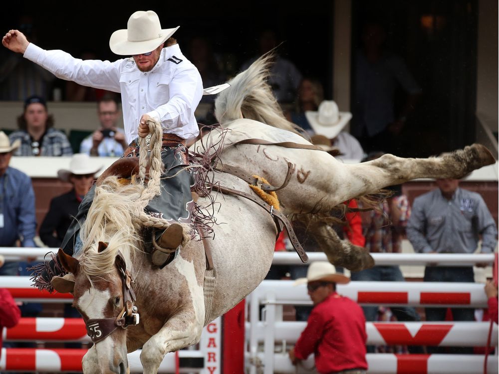 Saddle-bronc star Cort Scheer claims another bronze for collection ...