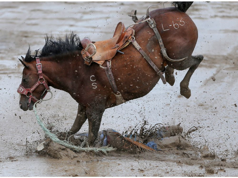 Gallery: A muddy Saturday at the Calgary Stampede Rodeo | Calgary Herald