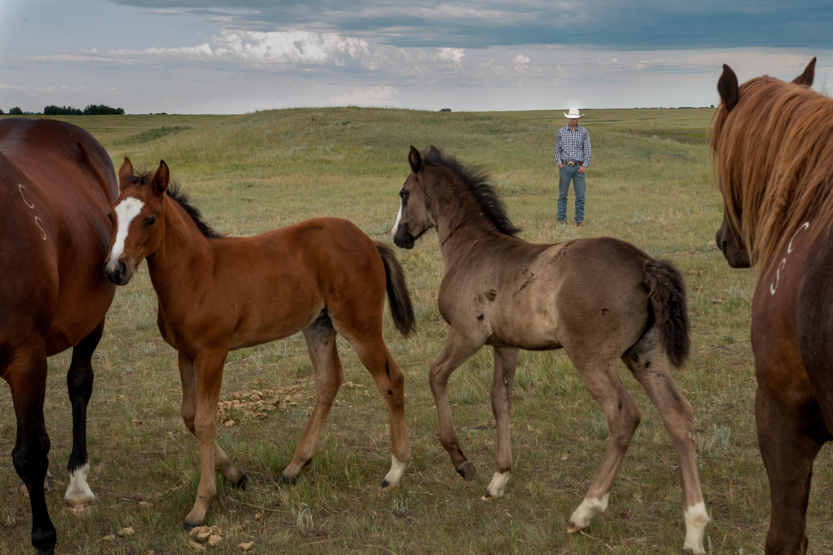 Call to the West: Stampede Ranch | Calgary Herald