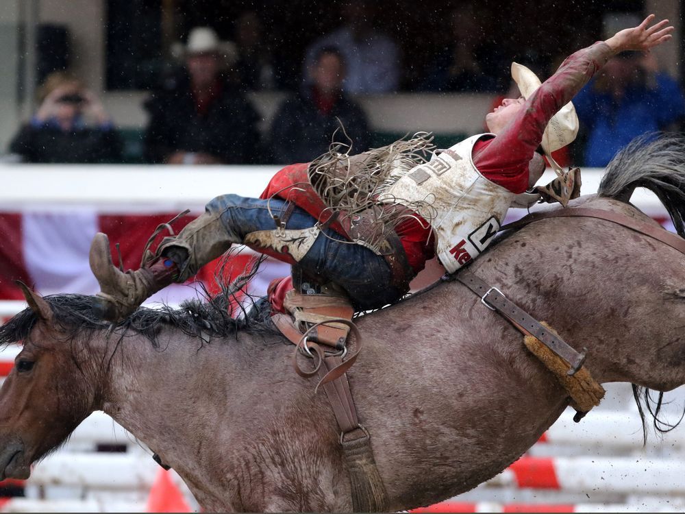 Against all odds, Peebles captures the Calgary Stampede bareback ...