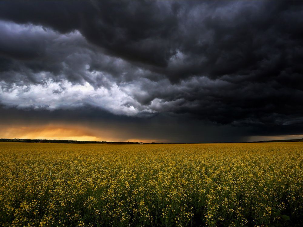 Calgary hasn't had this much rain in July since 1927 | Calgary Herald