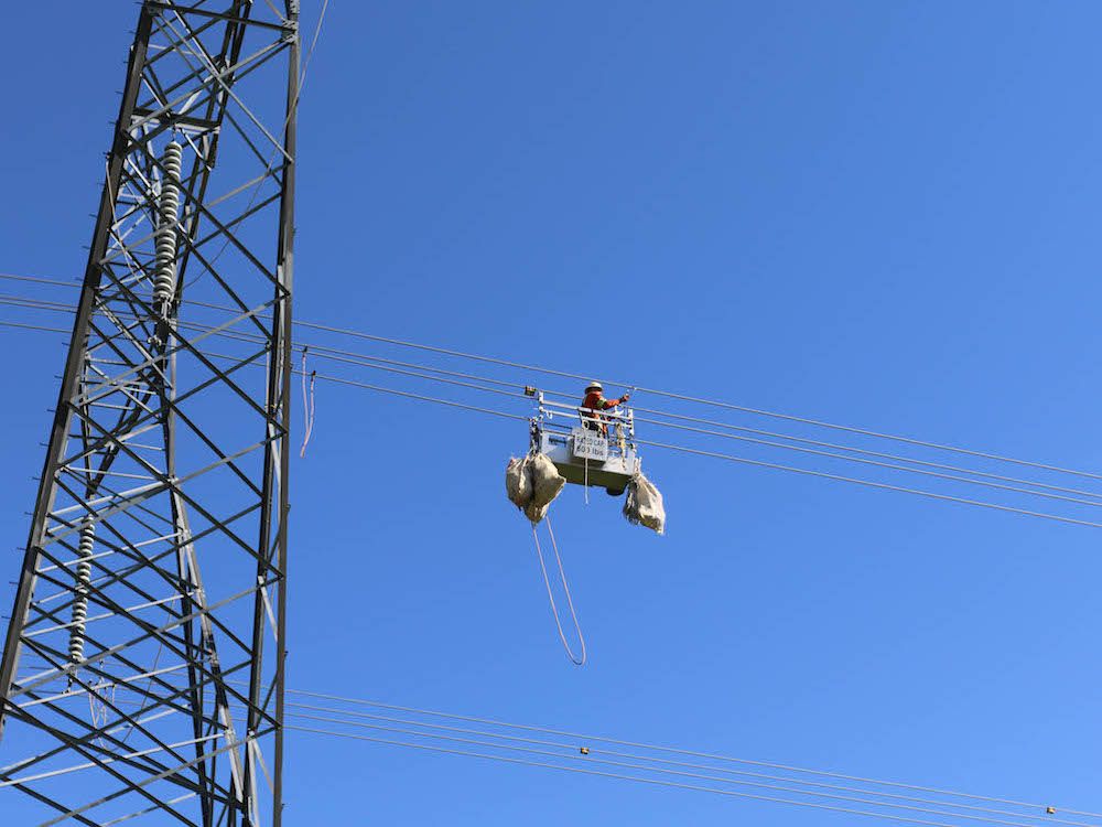 AltaLink installs bird markers on power lines near Frank Lake | Calgary ...