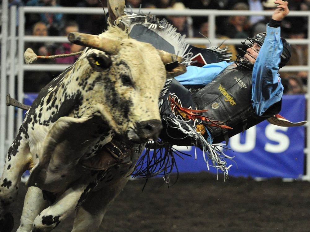 Zane Lambert enjoying strong finish to bull-riding season despite early ...