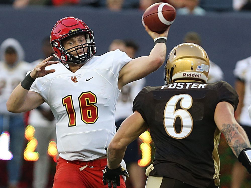 Calgary Dinos beat Manitoba Bisons in Canada West CIS football ...