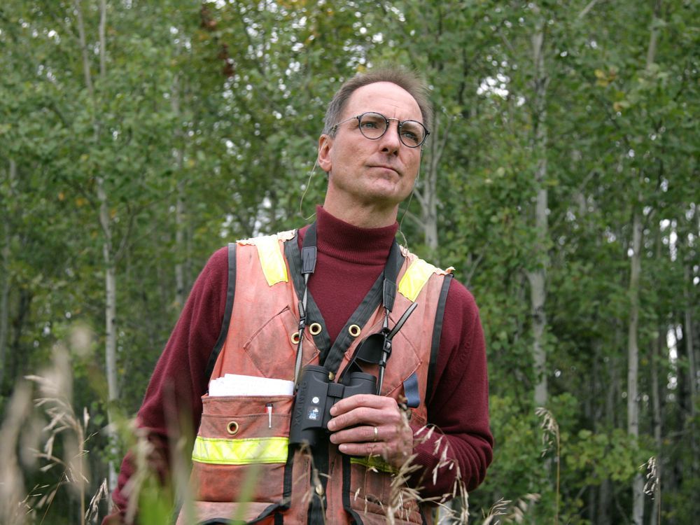 ’Estimates of convenience’: Researcher says Alberta spills data too ...