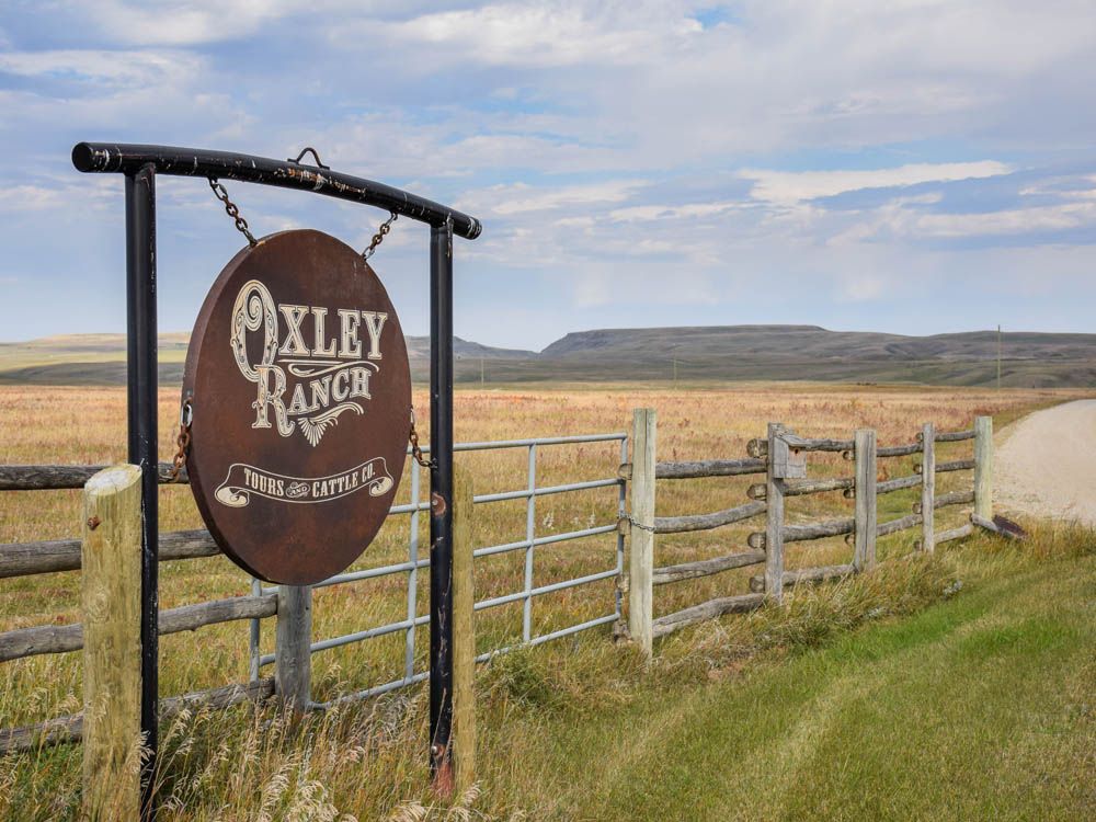 Nature Conservancy of Canada acquire's Alberta's Oxley Ranch | Calgary ...