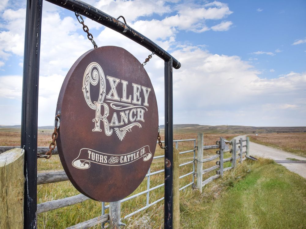 Editorial: Preserving grasslands | Calgary Herald