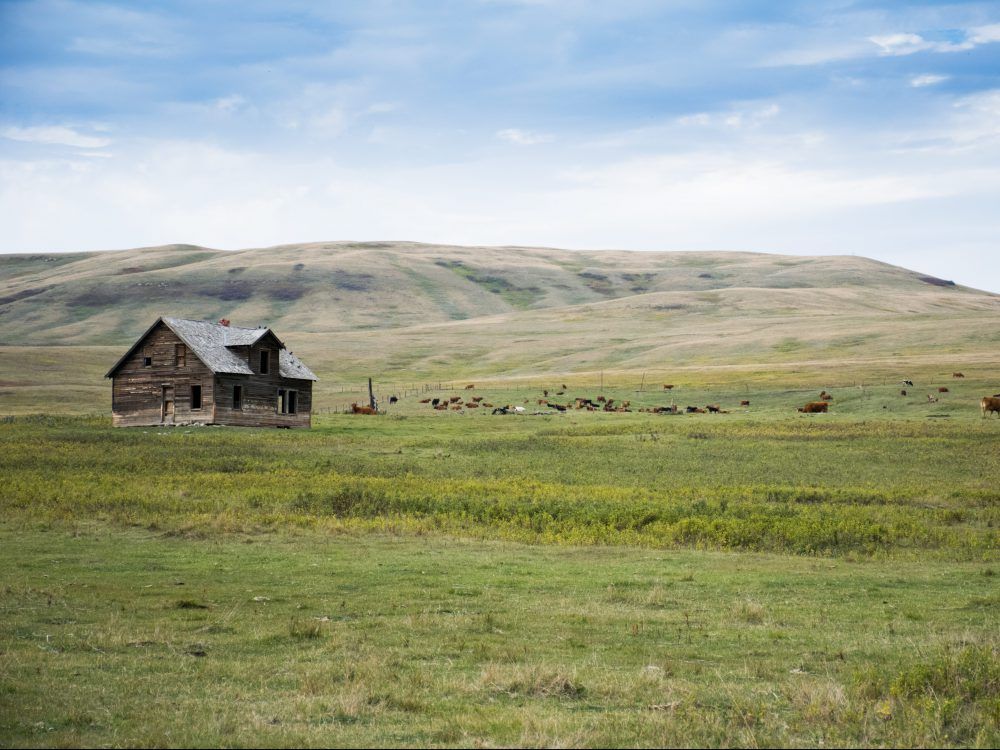 Nature Conservancy of Canada acquire's Alberta's Oxley Ranch | Calgary ...