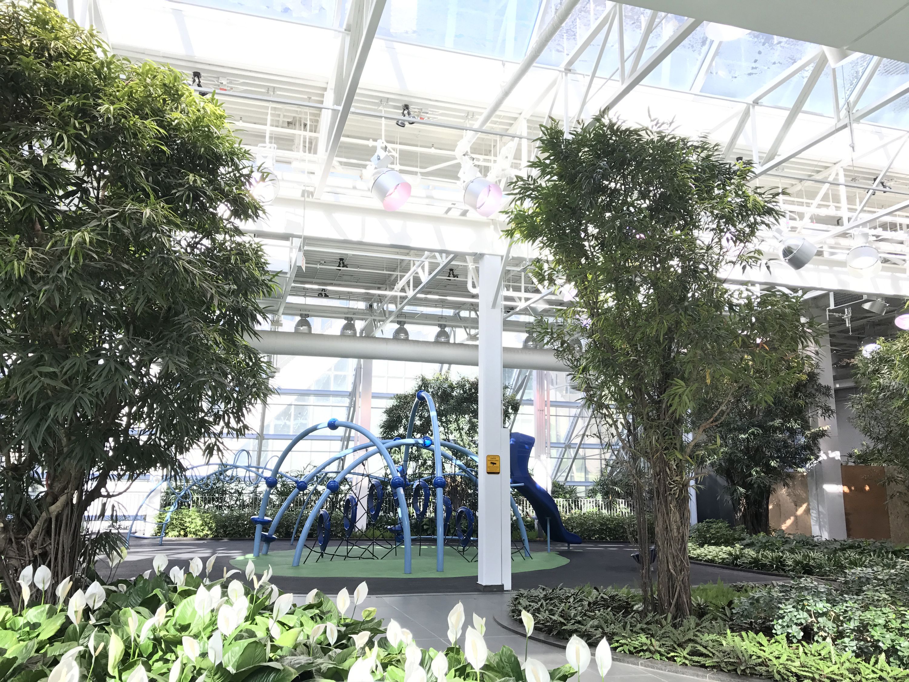 Devonian Gardens to reopen in phases over coming months, says city ...