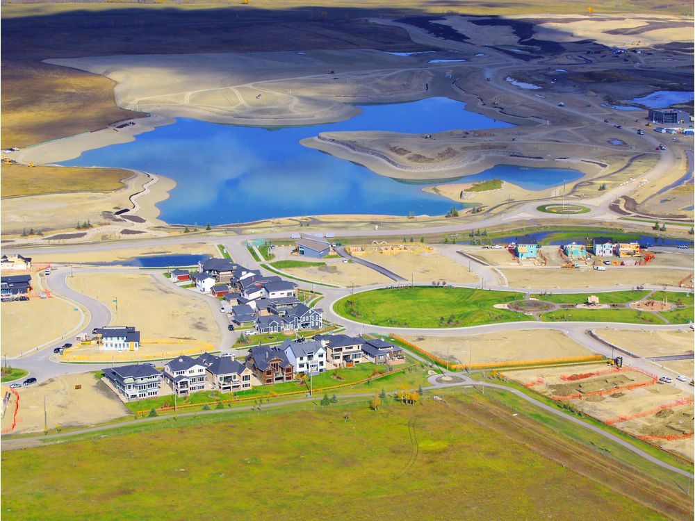 Harmony marks its beginnings with New Community of the Year award ...