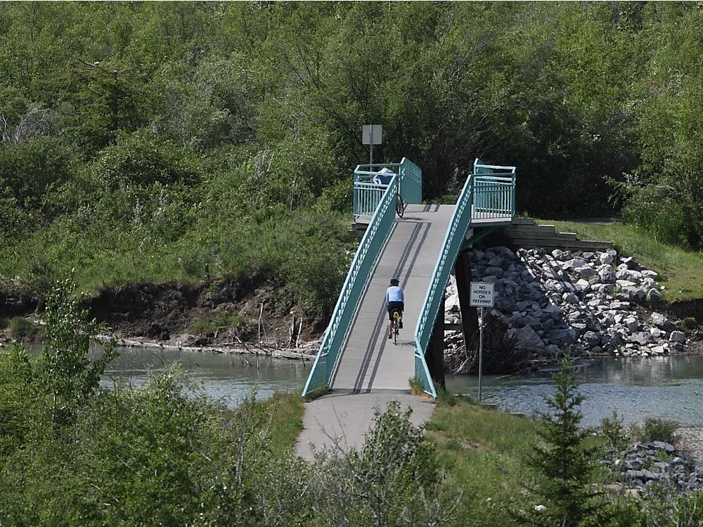 Calgarians invited to take part in massive nature count in Weaselhead ...