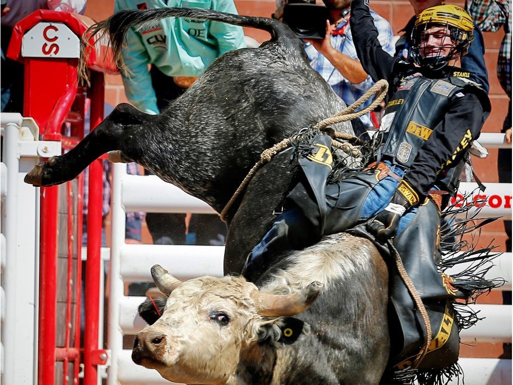 Winning at Calgary Stampede rodeo in the blood for bull rider Jess ...