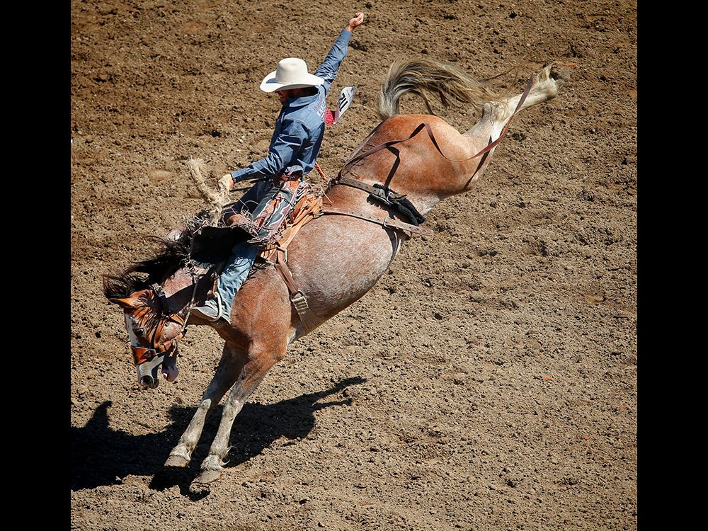 2017 Calgary Stampede Rodeo: Day Seven Action | Calgary Herald