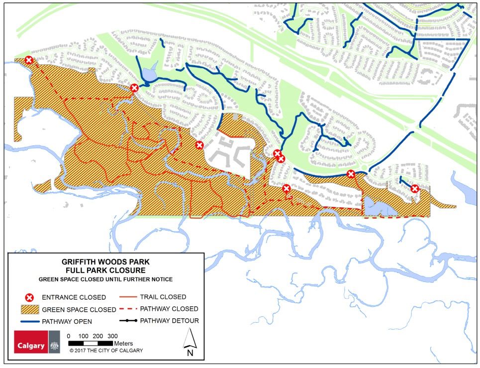 Grizzly wanders into Griffith Woods Park in southwest Calgary; pathways ...