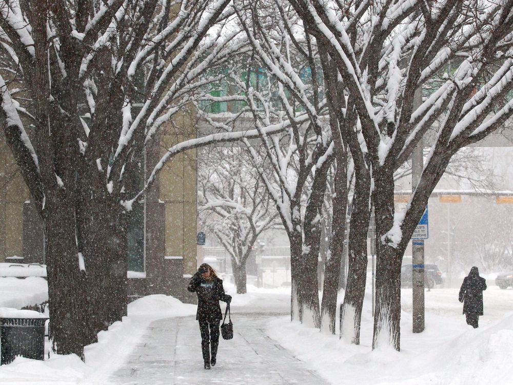 Calgary weather: Weather warnings issued as snow returns | Calgary Herald