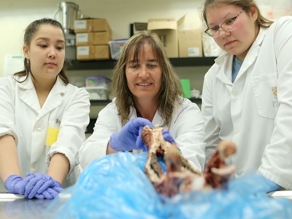 First Nations teens get a hands-on education in the sciences | Calgary ...