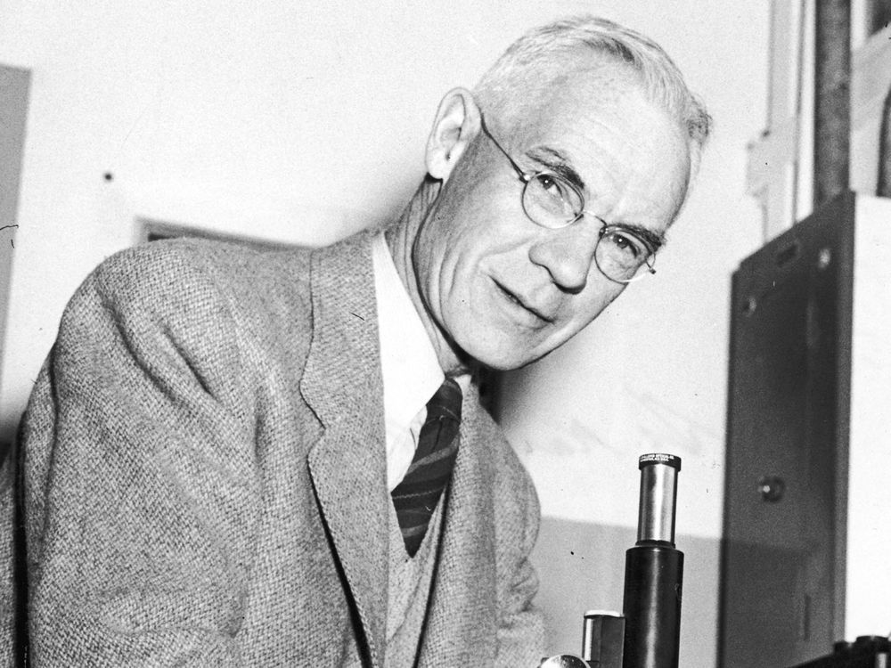 Nelson: Let's protest Canada's lack of innovation | Calgary Herald