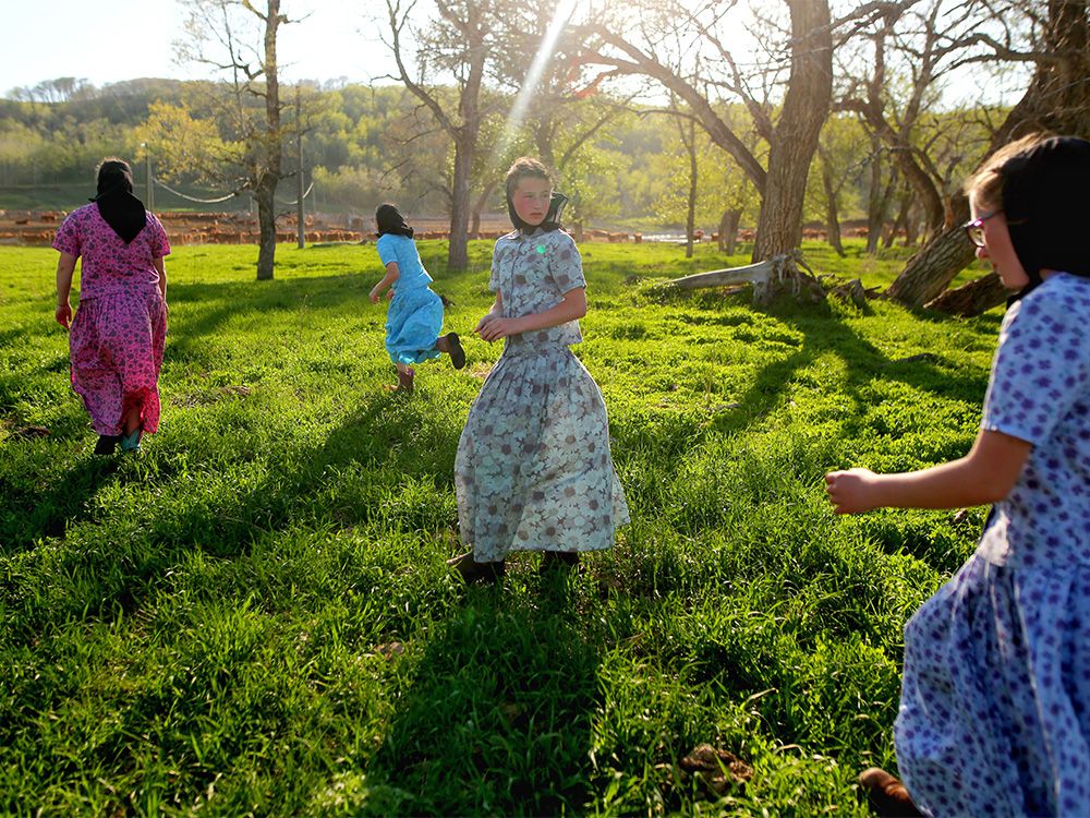Prairie ritual: Spring branding on the Pincher Creek Hutterite Colony ...
