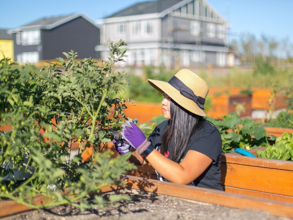 Calgary weather: A break from the rain | Calgary Herald