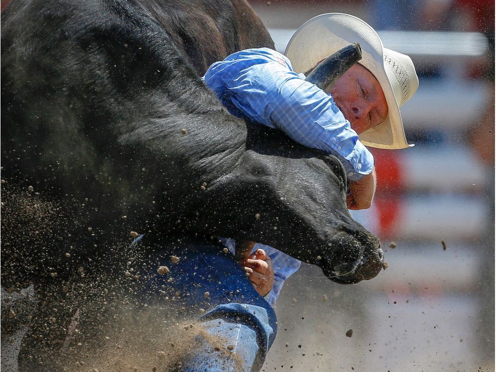 The best of the Stampede rodeo in photos | Calgary Herald