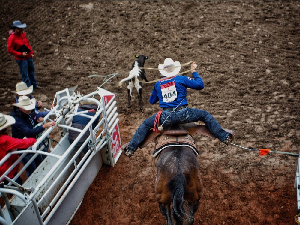 Gallery: The most stunning photos from Stampede | Calgary Herald