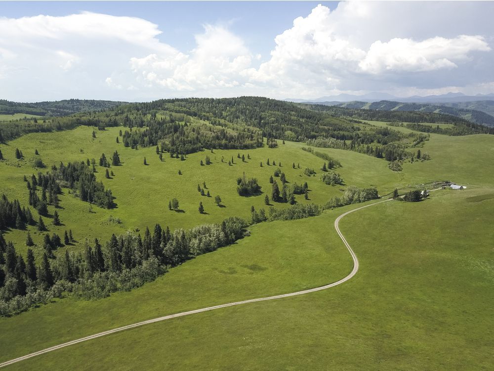 Owners donate 811 hectares of White Moose Ranch to Nature Conservancy ...