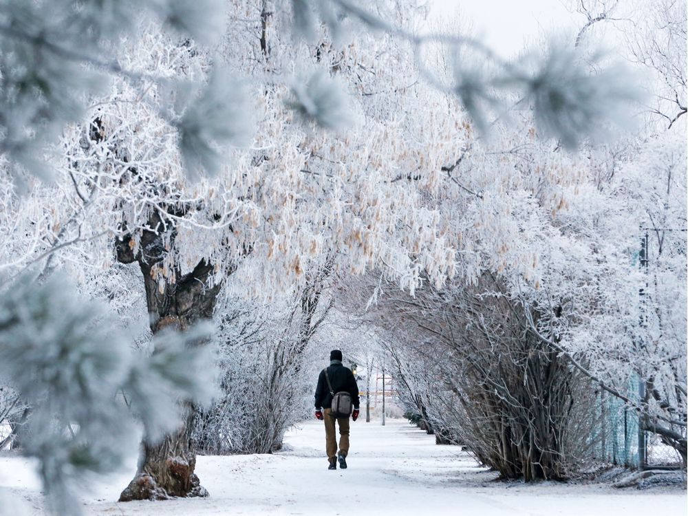 Calgary weather: City under fog warning as cold snap continues ...