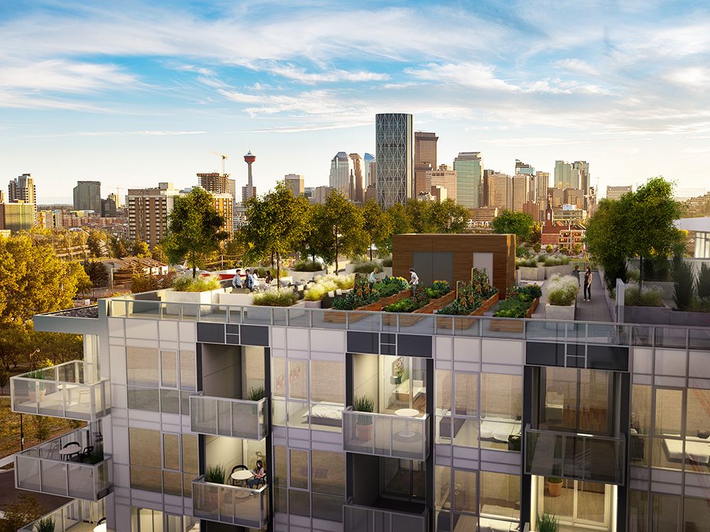 Sponsored: Radius at the centre of an extraordinary inner-city life ...