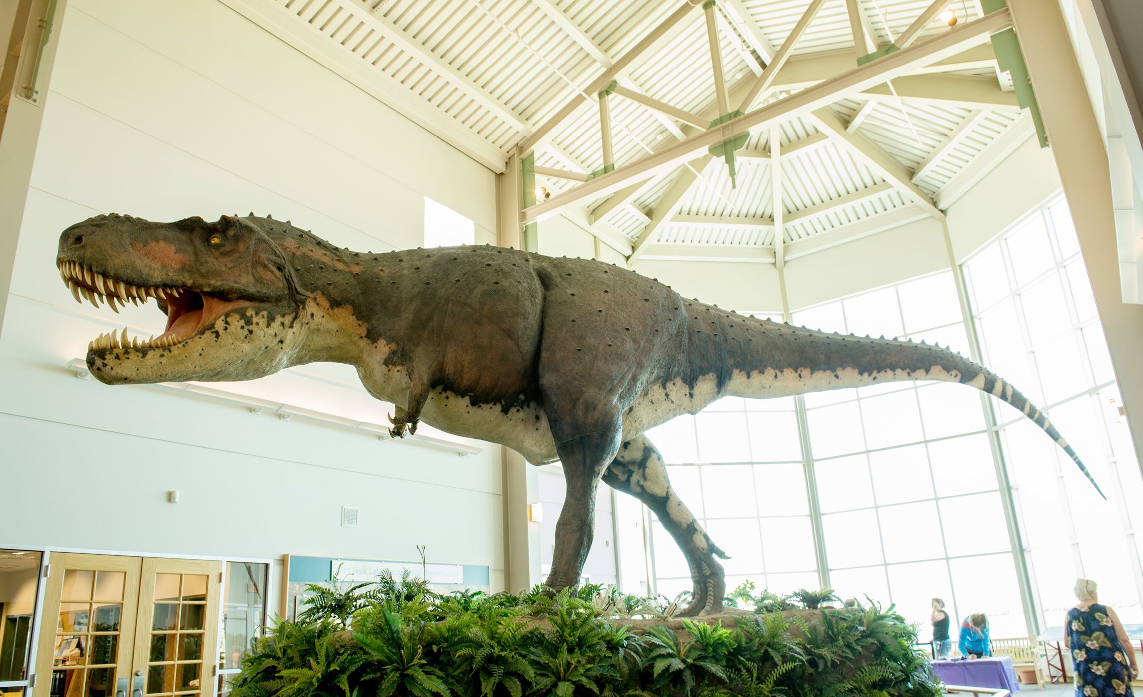 Advertisement: Discover these hidden gems on a Montana road trip ...