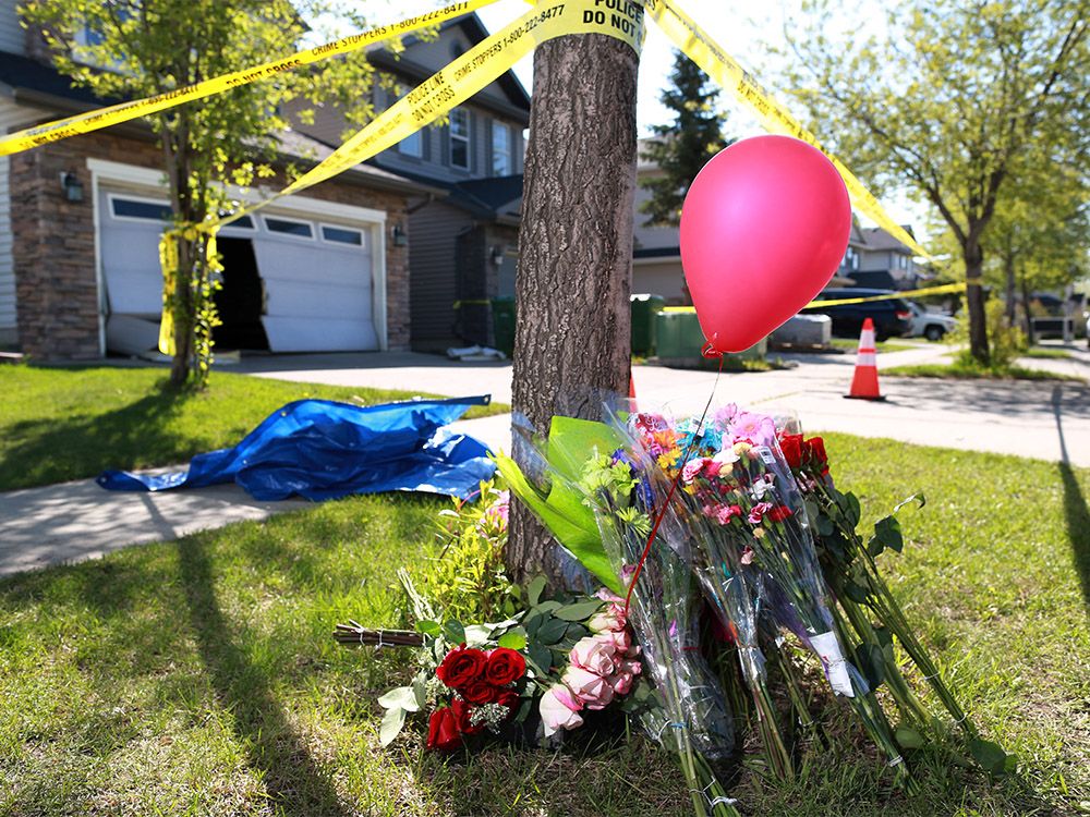 Police tackle epidemic of domestic violence in Calgary | Calgary Herald