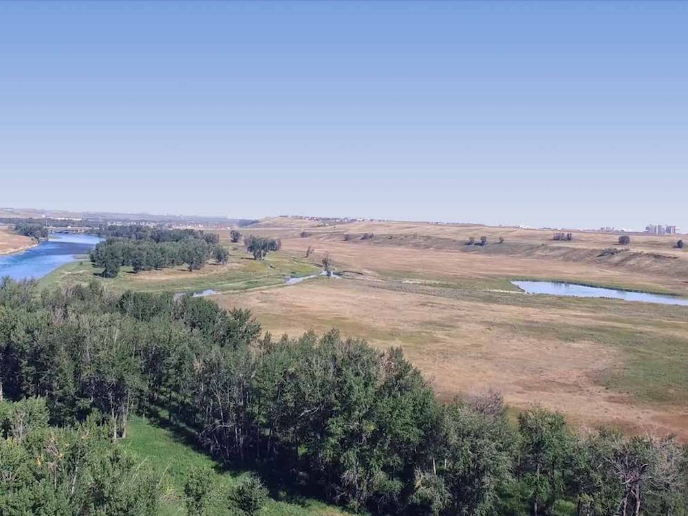 Council committee agrees to relax public access to scenic bluff ...