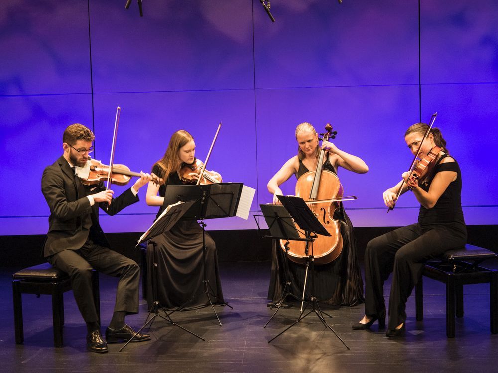 Quality comes to the fore at Banff International String Quartet ...