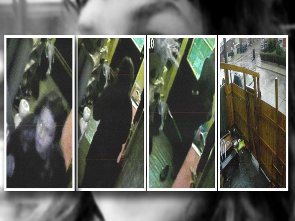 Search continues for former Calgary woman who disappeared in Hamilton ...