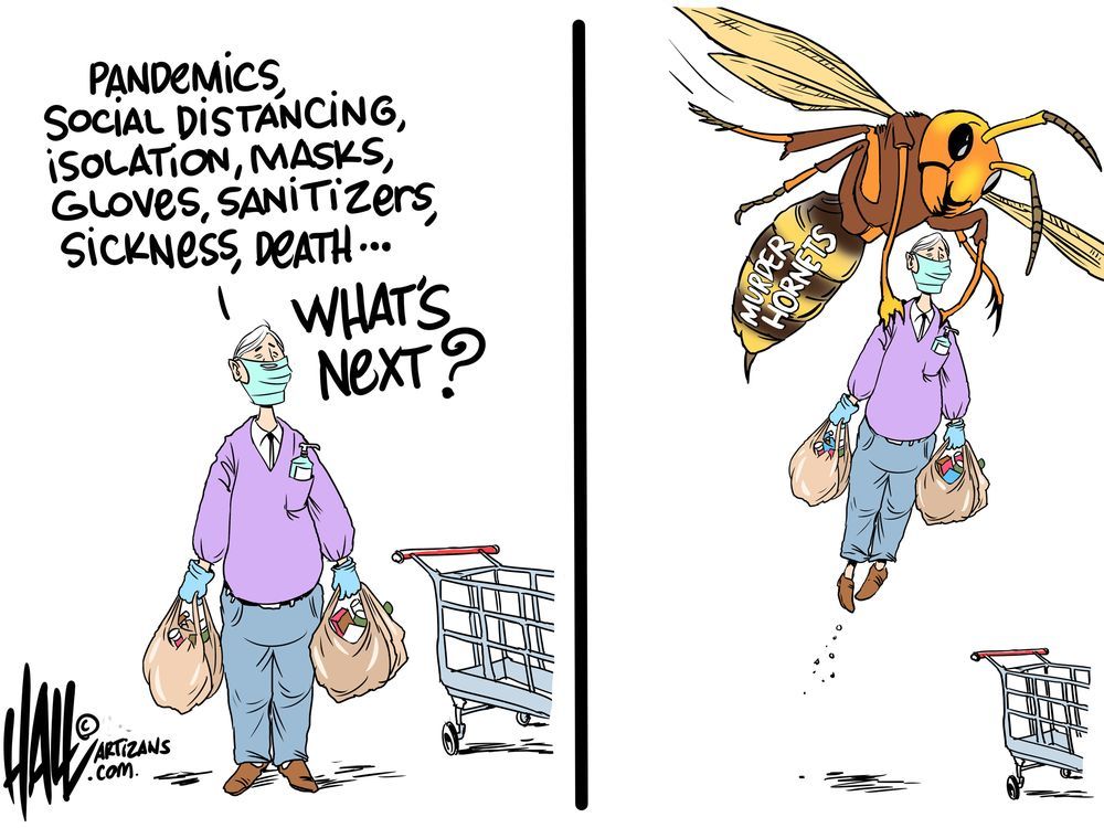 The Herald's editorial cartoons | Calgary Herald