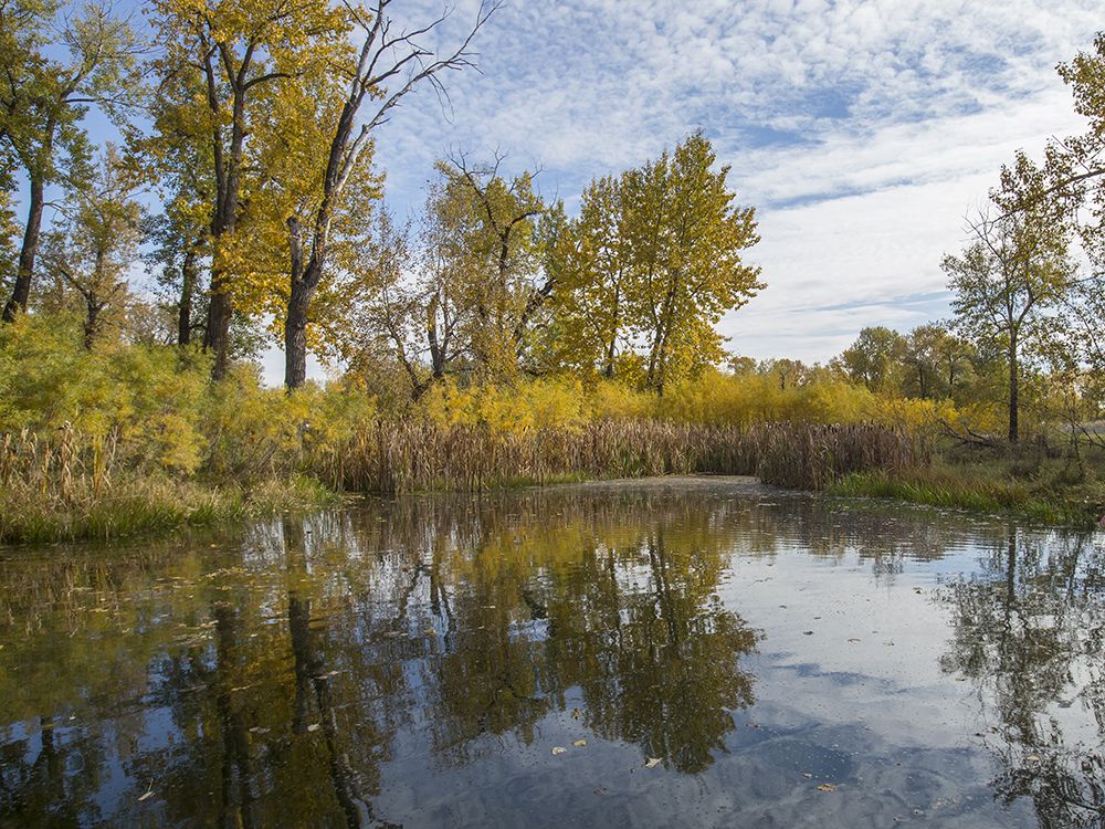 City of Calgary wins award for planning excellence | Calgary Herald