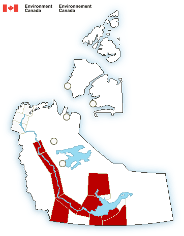 Heat warning issued for most of Alberta including Calgary | Calgary Herald