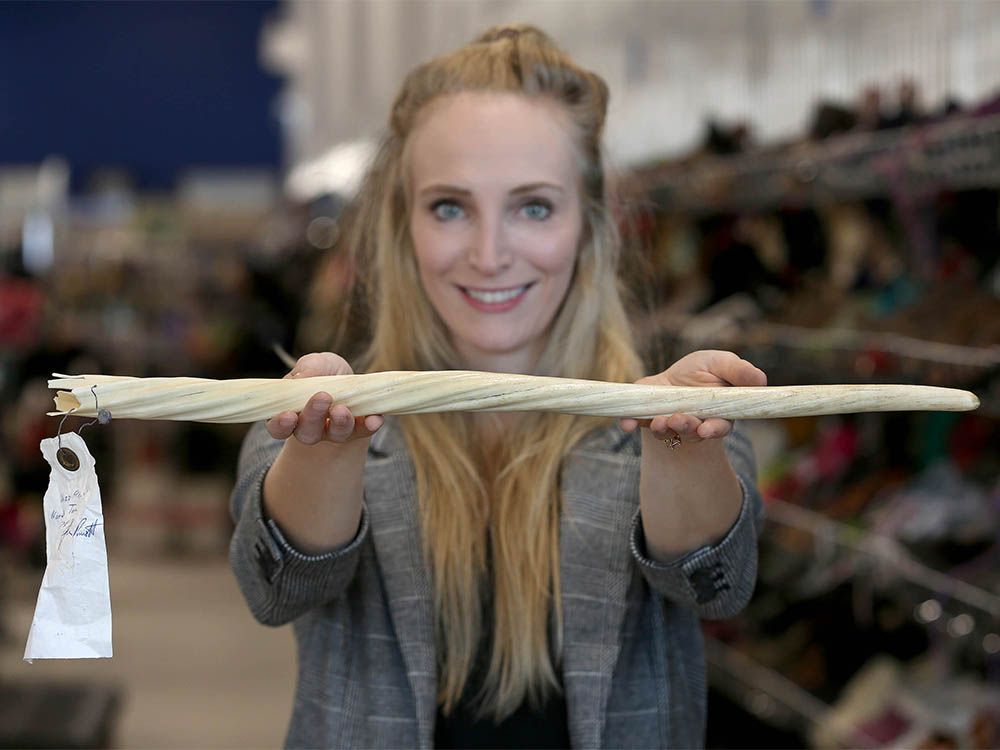 Narwhal tusk found in Calgary Goodwill pile to be donated to U of C ...