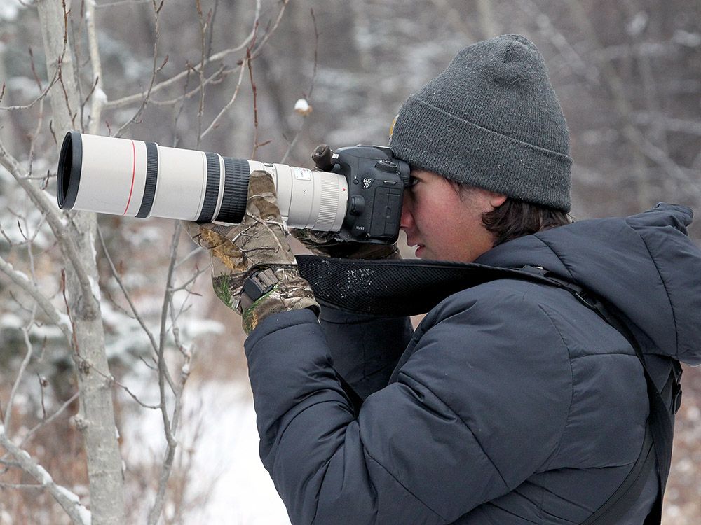 How bird watching may get us through the winter — and a pandemic ...