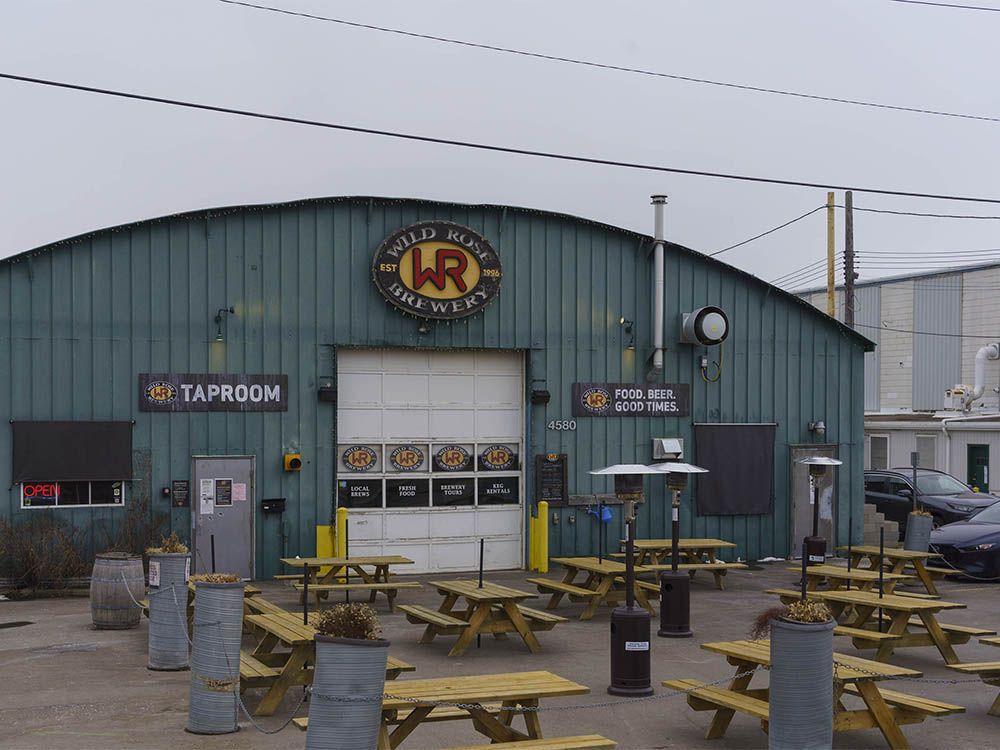 Wild Rose Brewery to undergo $4-million expansion to boost can output ...