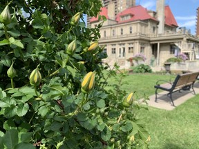 Calgary Horticultural Society: Go on tour to our favourite public ...