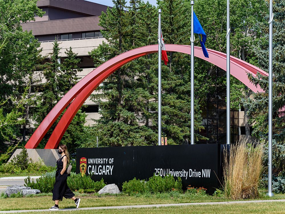 UCP add post-secondary seats in Calgary for 'high-demand' programs ...