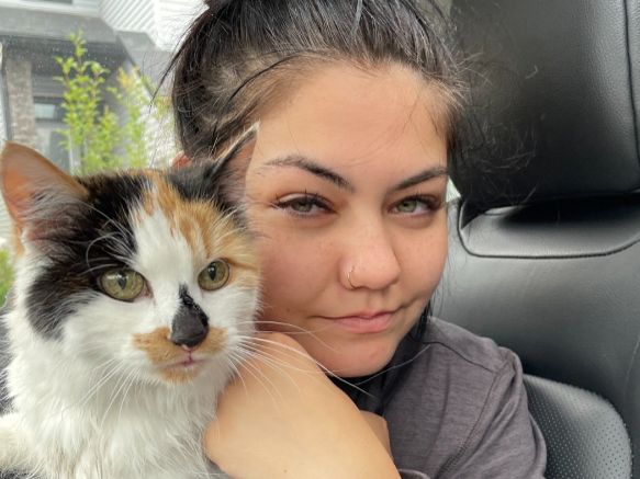 Missing cat found safe in charred remains of Sherwood house fire ...