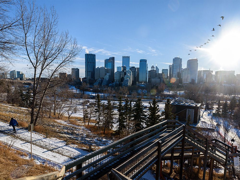 COVID-19 on pace to be among Alberta's leading causes of death in 2021 ...