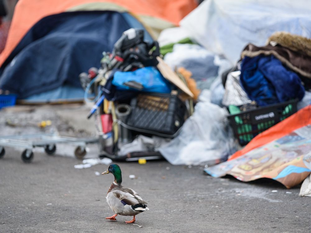 Police dismantle downtown homeless camp they say served as crime hub ...