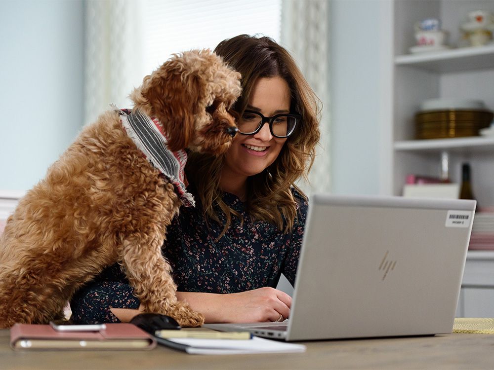 Separation anxiety a concern as dog owners head back to work | Calgary ...