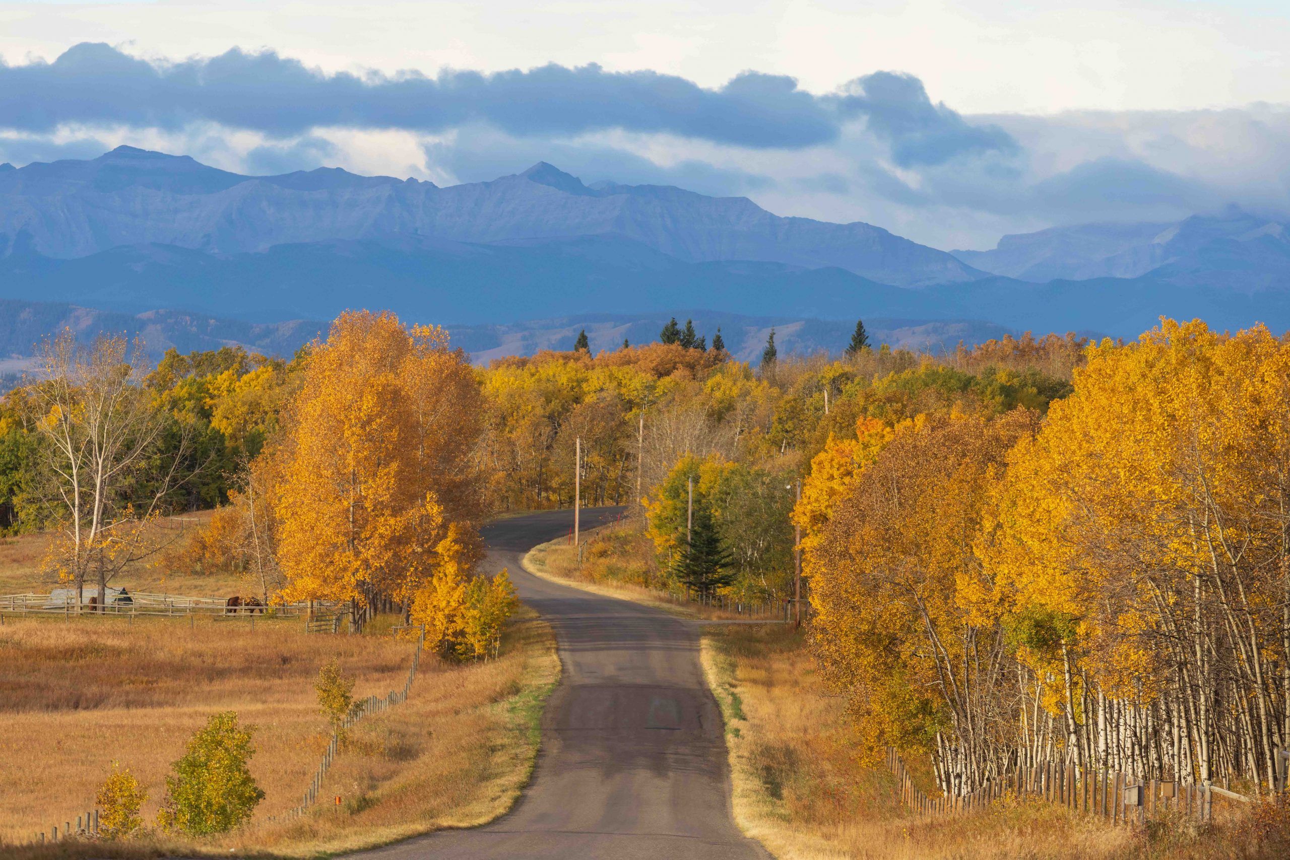 Postmedia Calgary wins international media honours | Calgary Herald