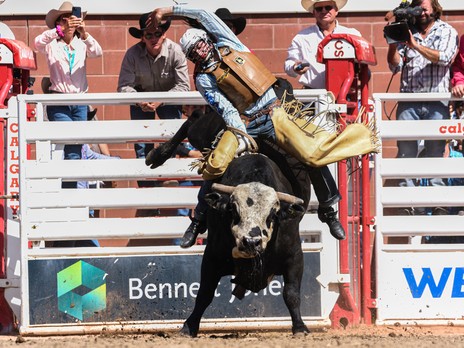 Rodeo-Chucks News - Calgary Stampede | Calgary Herald