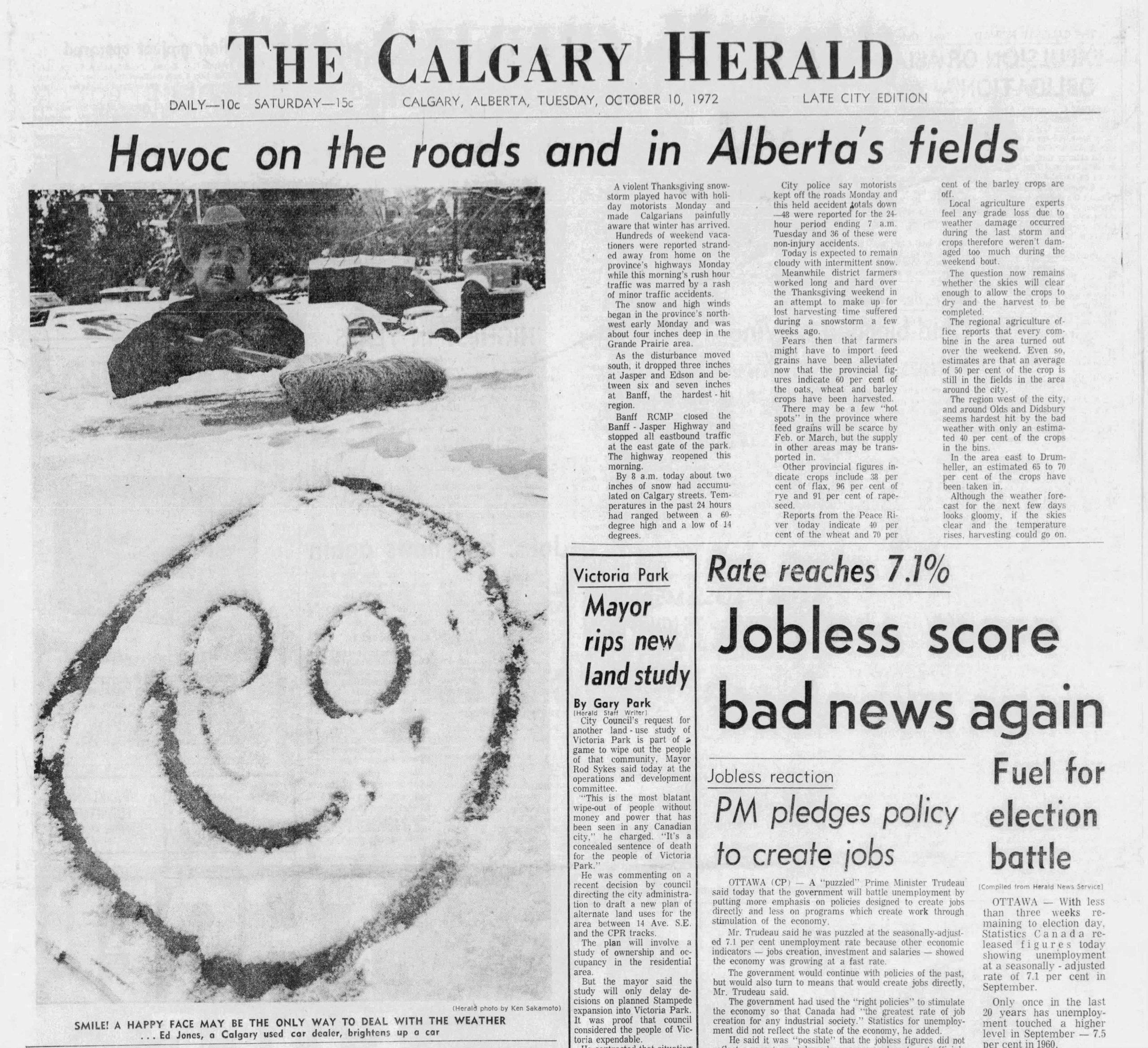 Talking turkey: How prices for the big bird have risen over the last ...