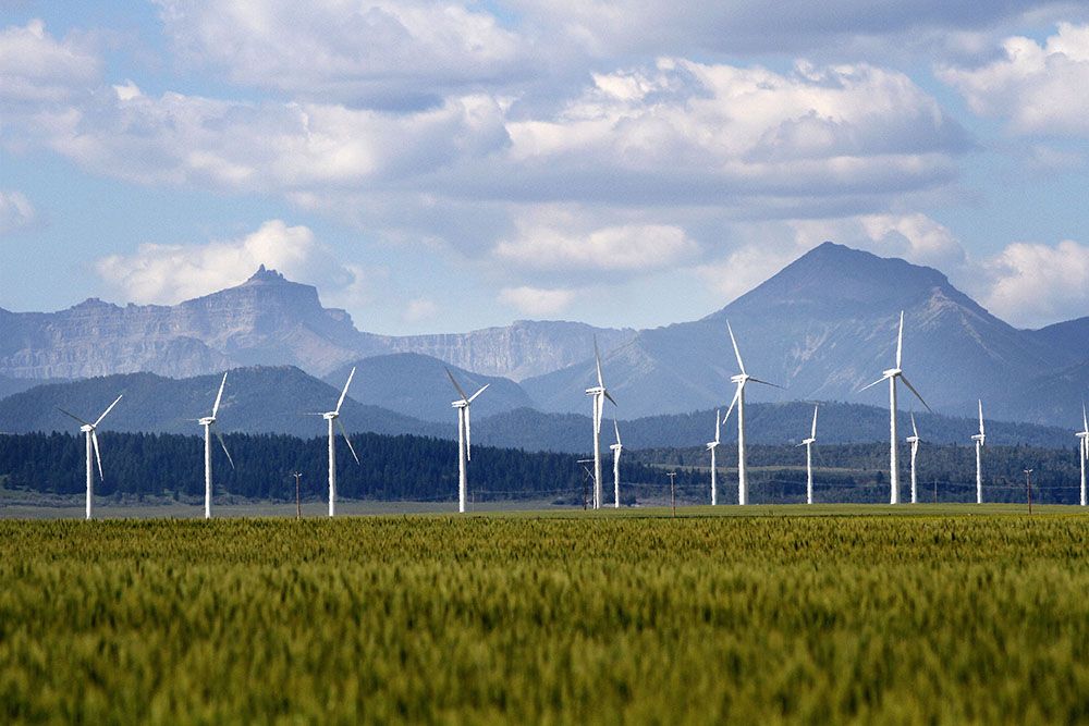 Alberta made estimated $160M from Renewable Energy Program: new report ...